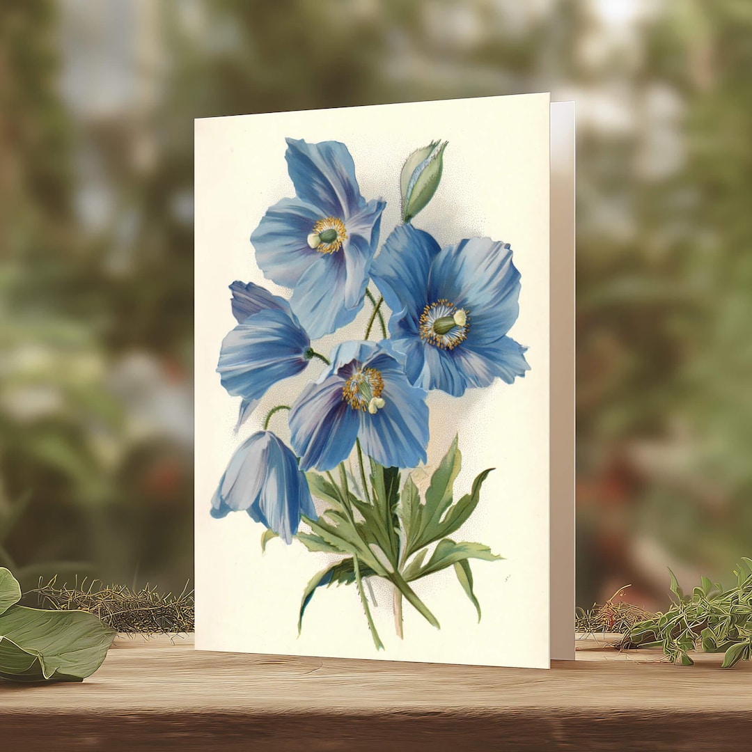 Blue Poppy Floral Card | Printable Flower Drawing Postcard | Meconopsis ...