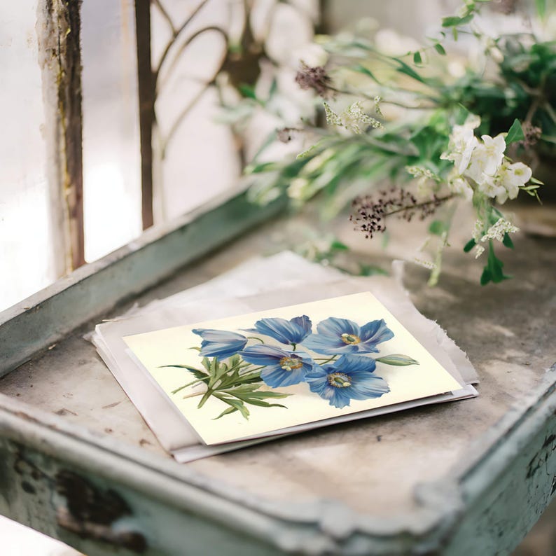 Blue Poppy Floral Card | Printable Flower Drawing Postcard | Meconopsis ...