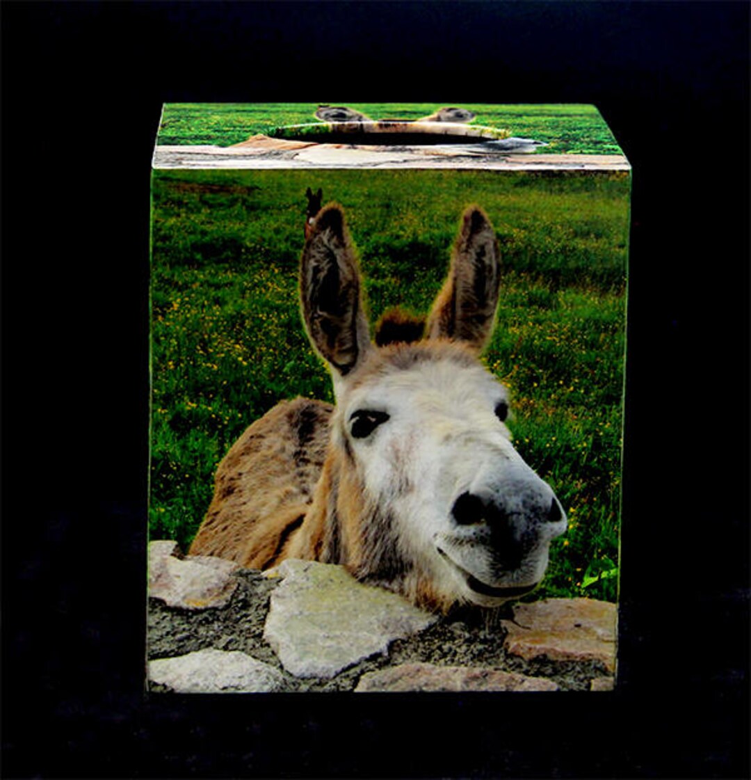 Tissue Box Cover Friendly Donkey in Ireland - Etsy
