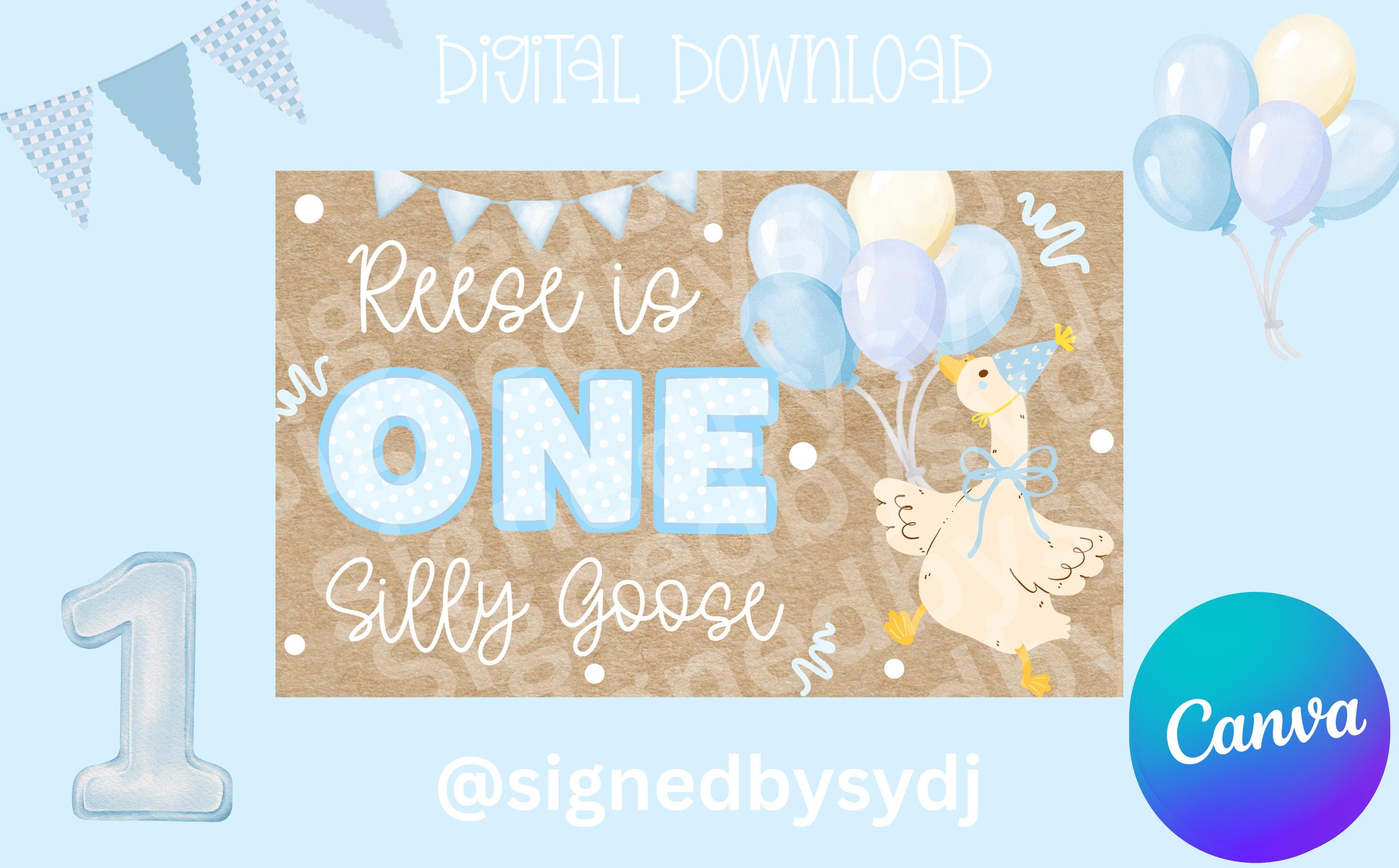 Silly Goose Boy Birthday Banner Template| Digital Download - Etsy
