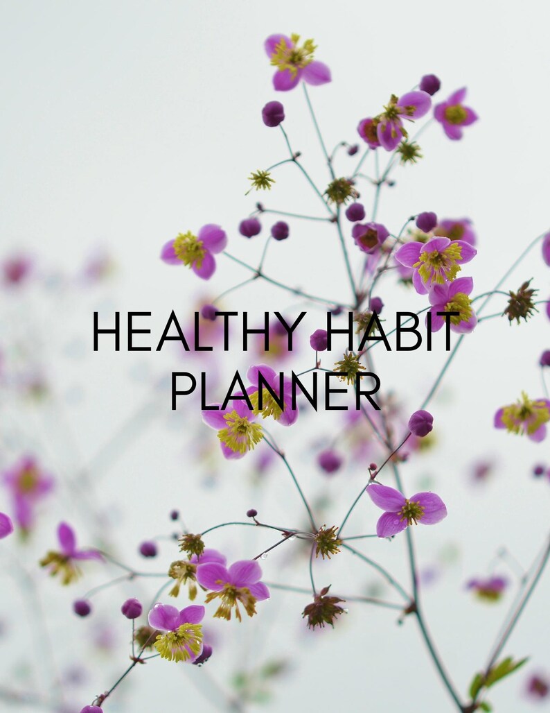 2026 ADHD Planner Printable | Neurodivergent Life Organizer PDF | Daily ...