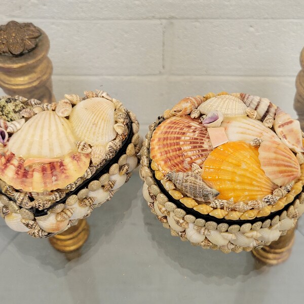 Shell Box - Etsy