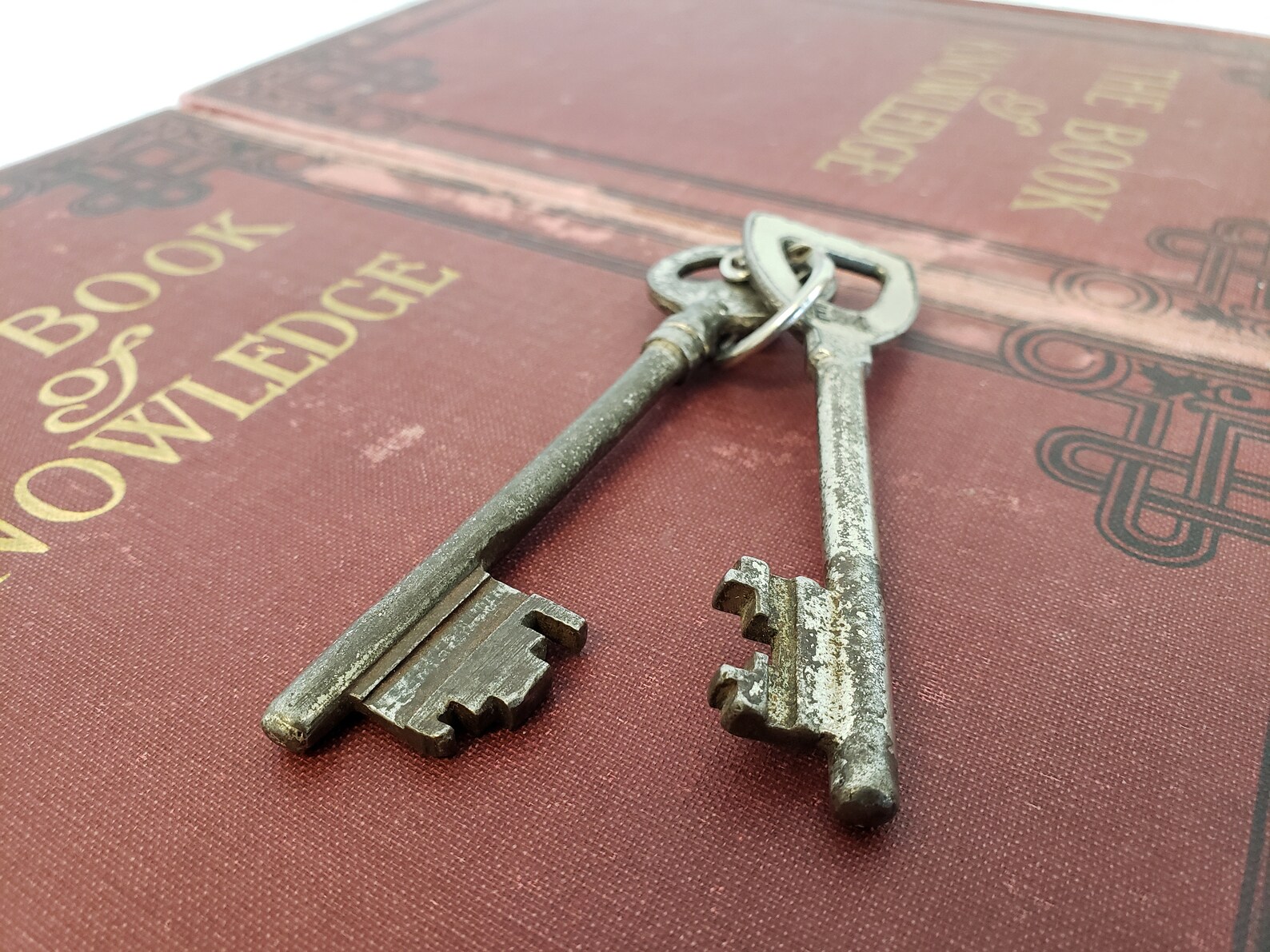 Antique Skeleton Keys / Pair of Large Skeleton Keys / Rustic - Etsy