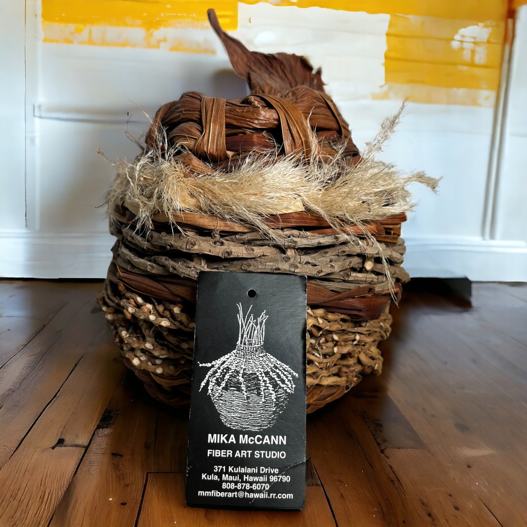 Mika Mccann Hand Woven Basket 8 1/2 Maui Hawaiian Organic Coco Seed ...