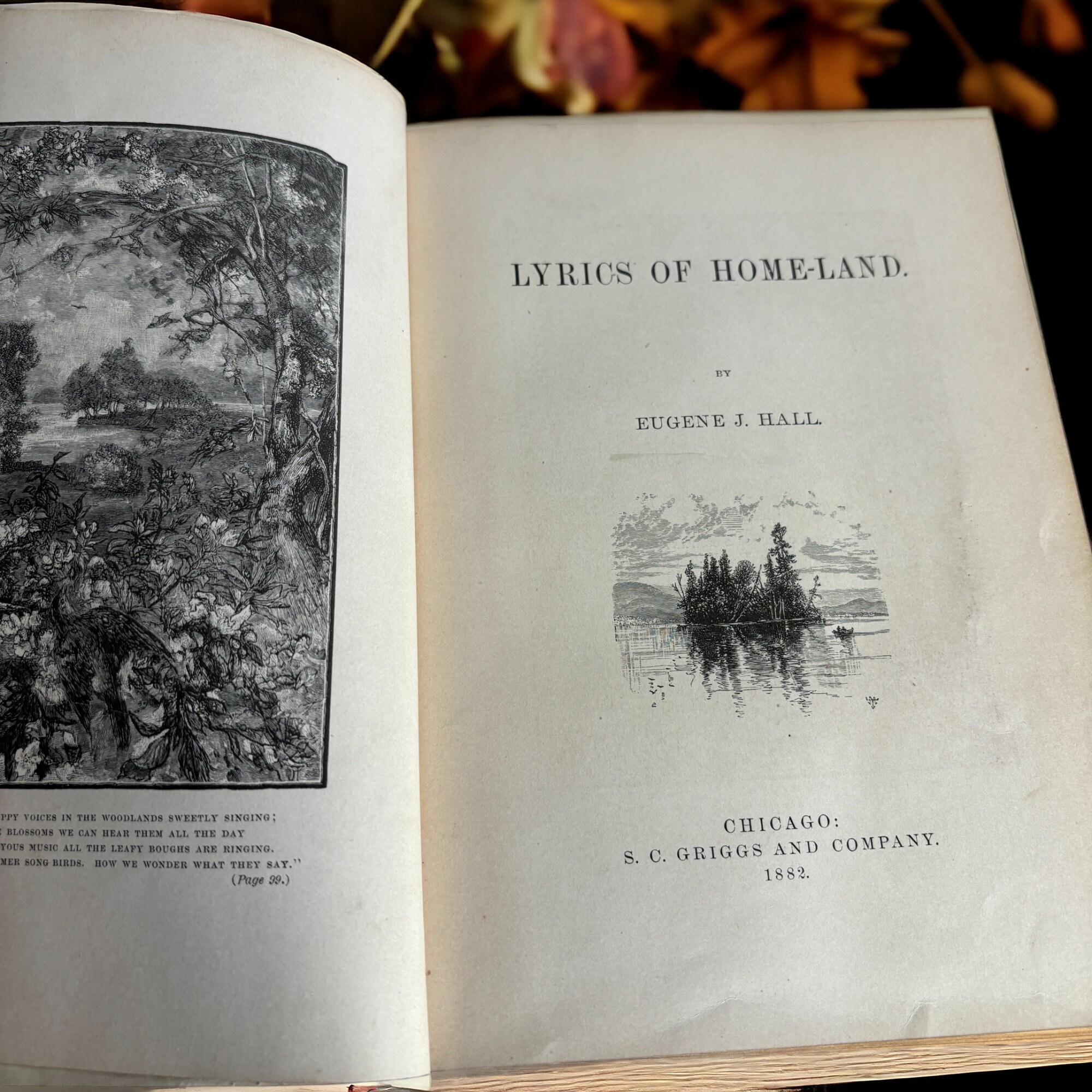 Lyrics of Home Land by Eugene J Hall Illustrated Antiquarian Book ...
