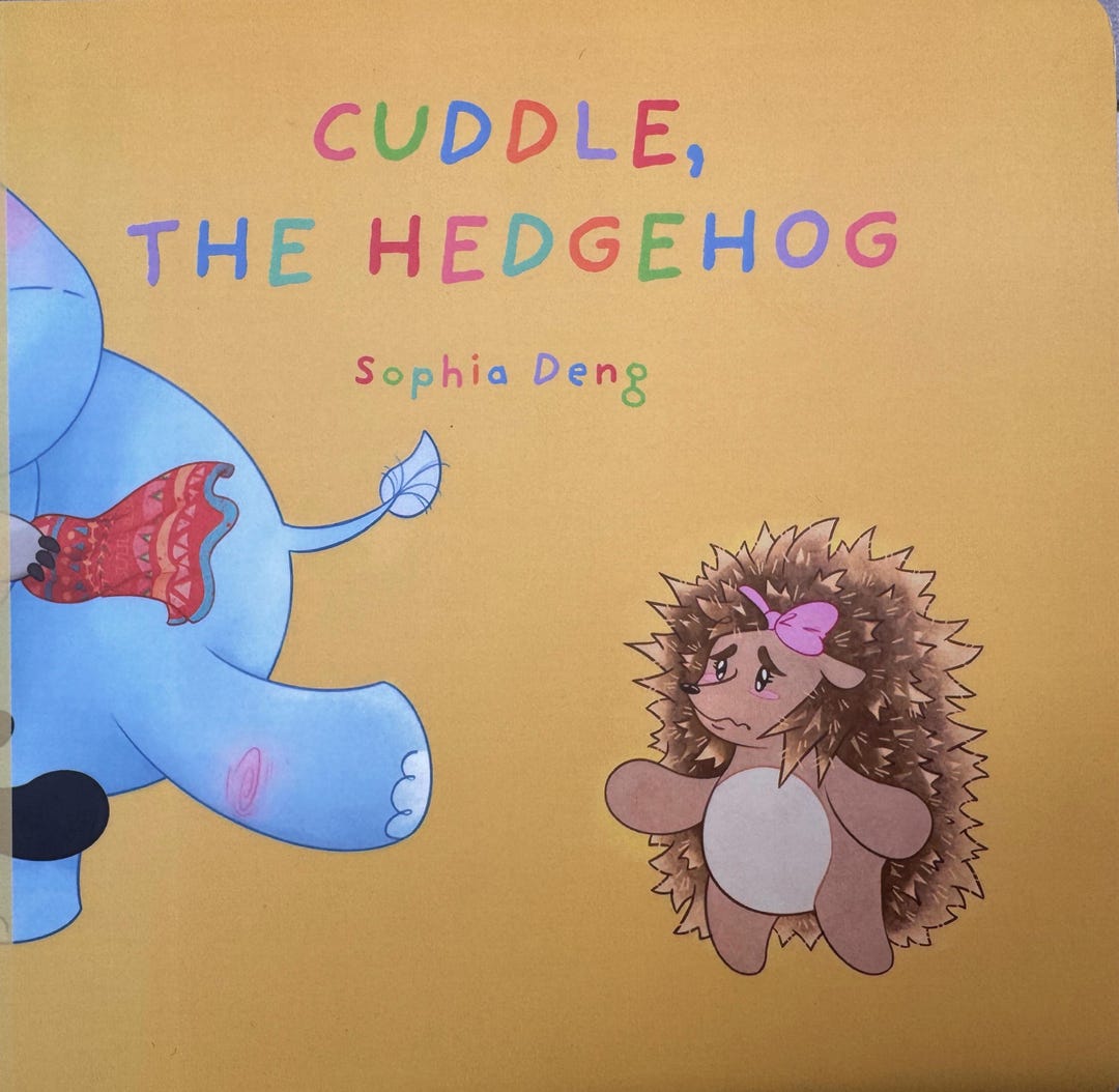 My Writing Book - Cuddle, the Hedgehog - Etsy