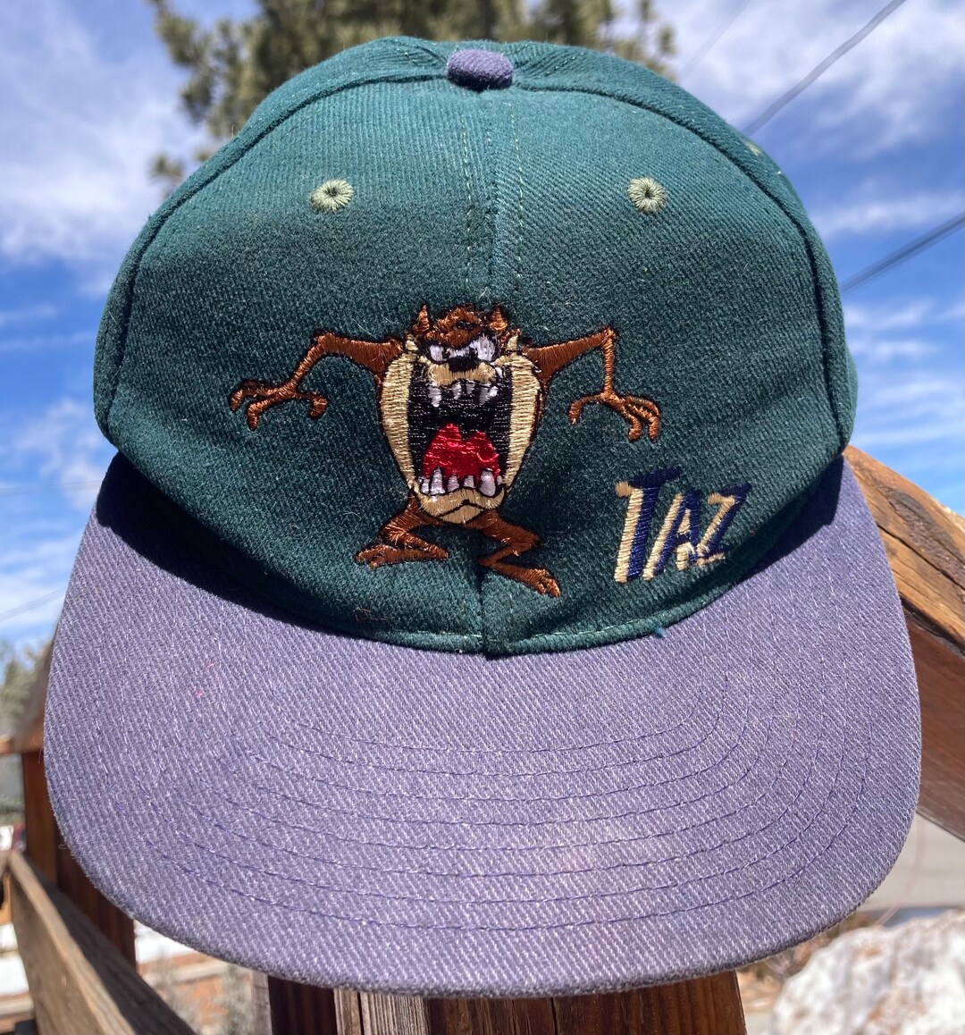 Hat Cap Taz Warner Brothers Made USA - Etsy