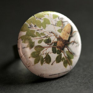 Beetle Ring. Bug Ring. Nature Ring. Insect Ring. Entomology Ring ...