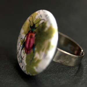 Red Beetle Ring. Red Bug Ring. Entomology Ring. Graphic Button Ring ...