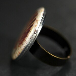 Seashell Ring. Beach Ring. Scallop Shell Ring. Graphic Button Ring. Sea ...