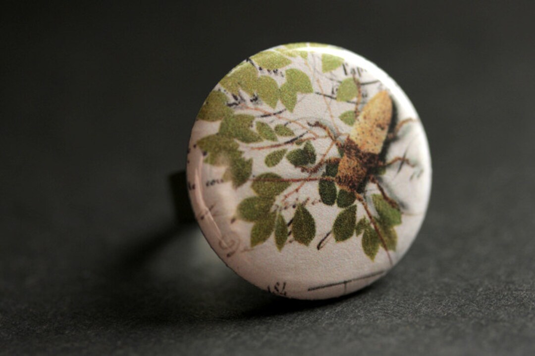 Beetle Ring. Bug Ring. Nature Ring. Insect Ring. Entomology Ring ...