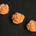 Orange Rose Refrigerator Magnets. Set of Three Rose Magnets. Orange ...
