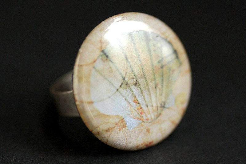 Clam Shell Ring. Sea Shell Ring. Beach Ring. Seashell Ring. Graphic ...