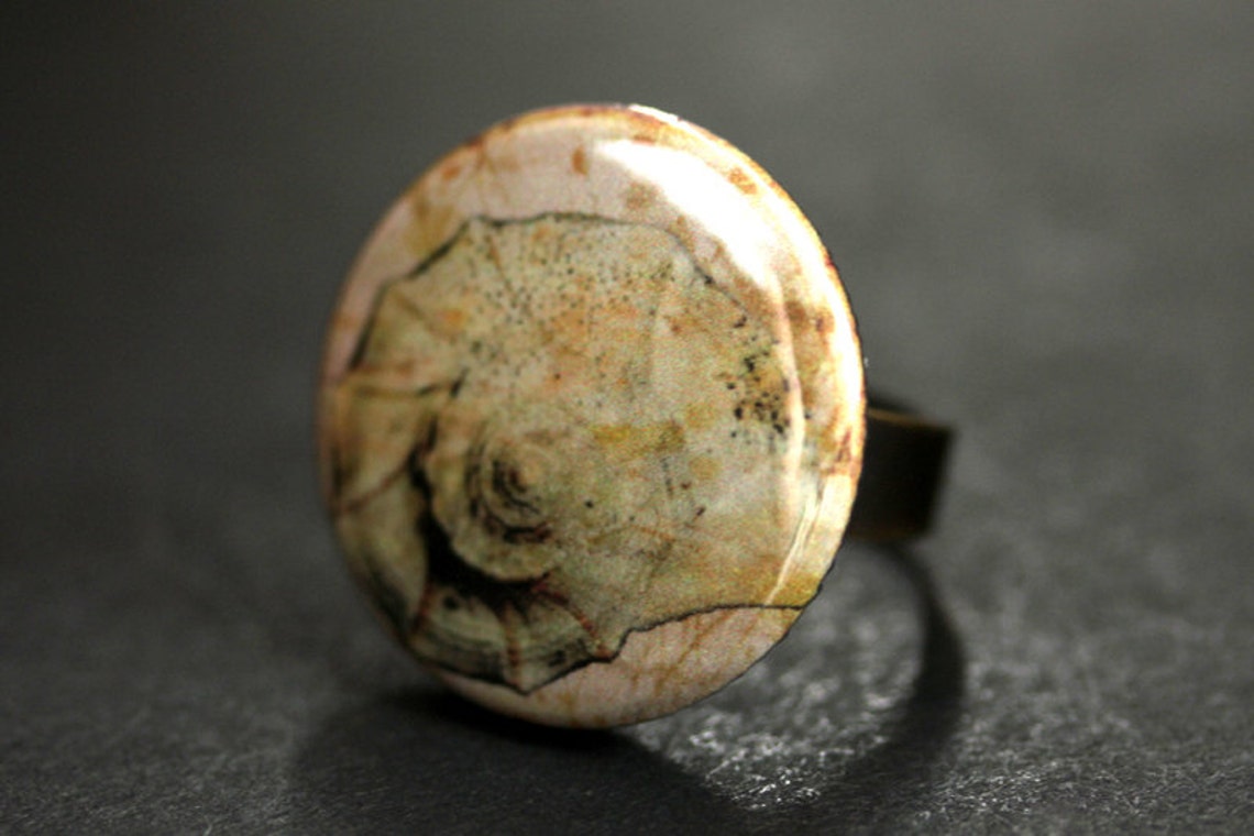 Sea Shell Ring. Beach Ring. Nature Ring. Seashell Ring. | Etsy