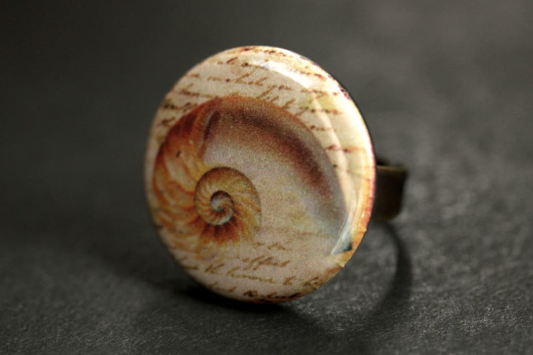 Seashell Ring. Beach Ring. Nautilus Shell Ring. Graphic Button Ring ...
