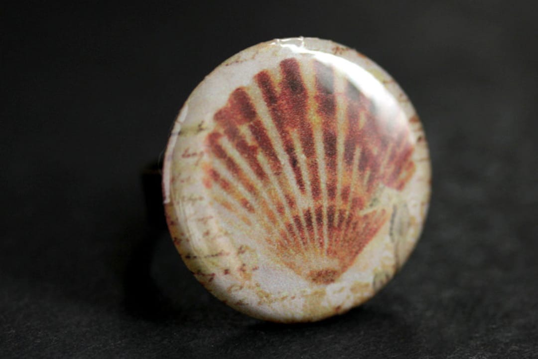 Seashell Ring. Beach Ring. Scallop Shell Ring. Graphic Button Ring. Sea ...