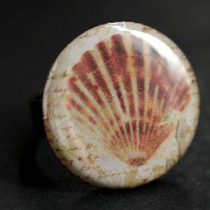 Seashell Ring. Beach Ring. Scallop Shell Ring. Graphic Button Ring. Sea ...