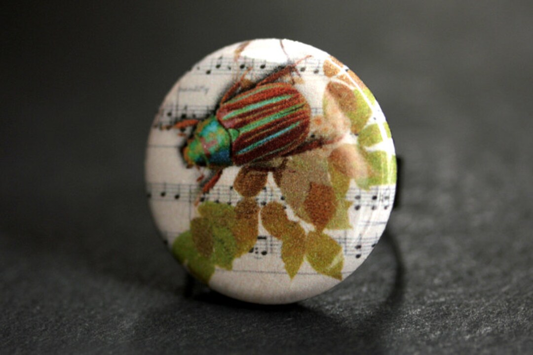 Turquoise Beetle Ring. Brown Beetle Ring. Bug Ring. Graphic Button Ring ...
