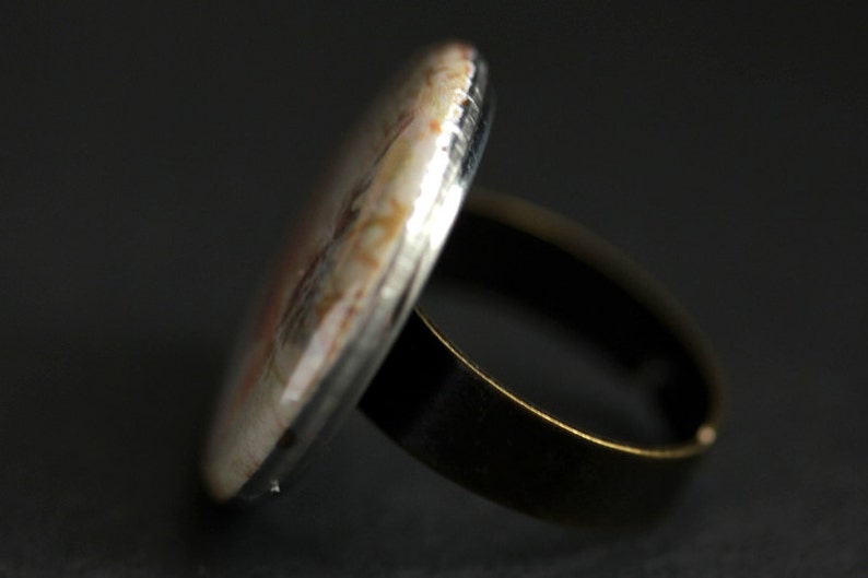 Beach Ring. Seashell Ring. Conch Shell Ring. Sea Shell Ring. - Etsy