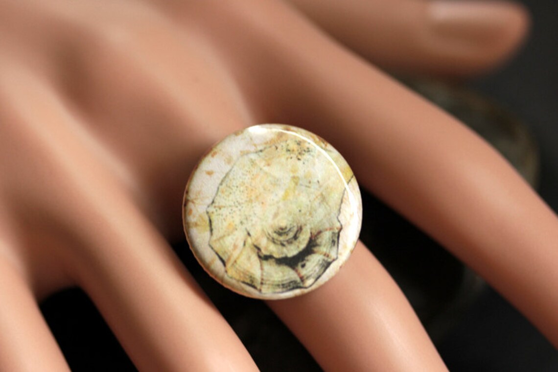 Sea Shell Ring. Beach Ring. Nature Ring. Seashell Ring. | Etsy