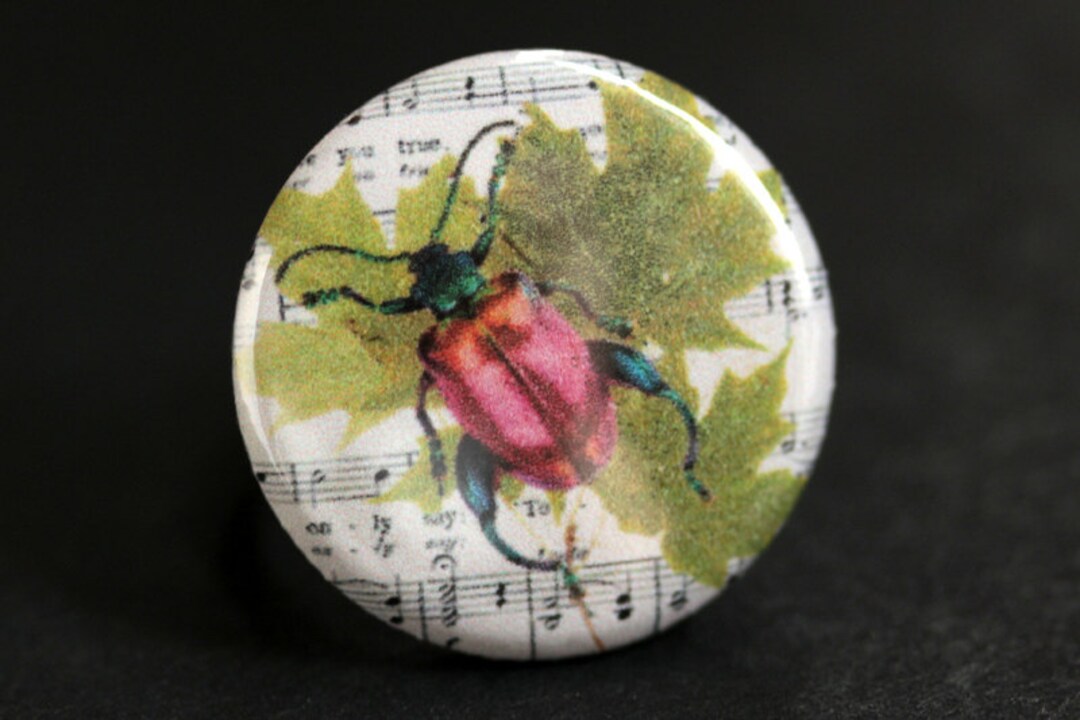 Red Beetle Ring. Red Bug Ring. Entomology Ring. Graphic Button Ring ...