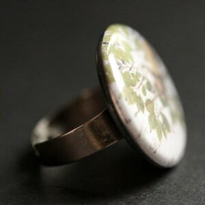 Beetle Ring. Bug Ring. Nature Ring. Insect Ring. Entomology Ring ...