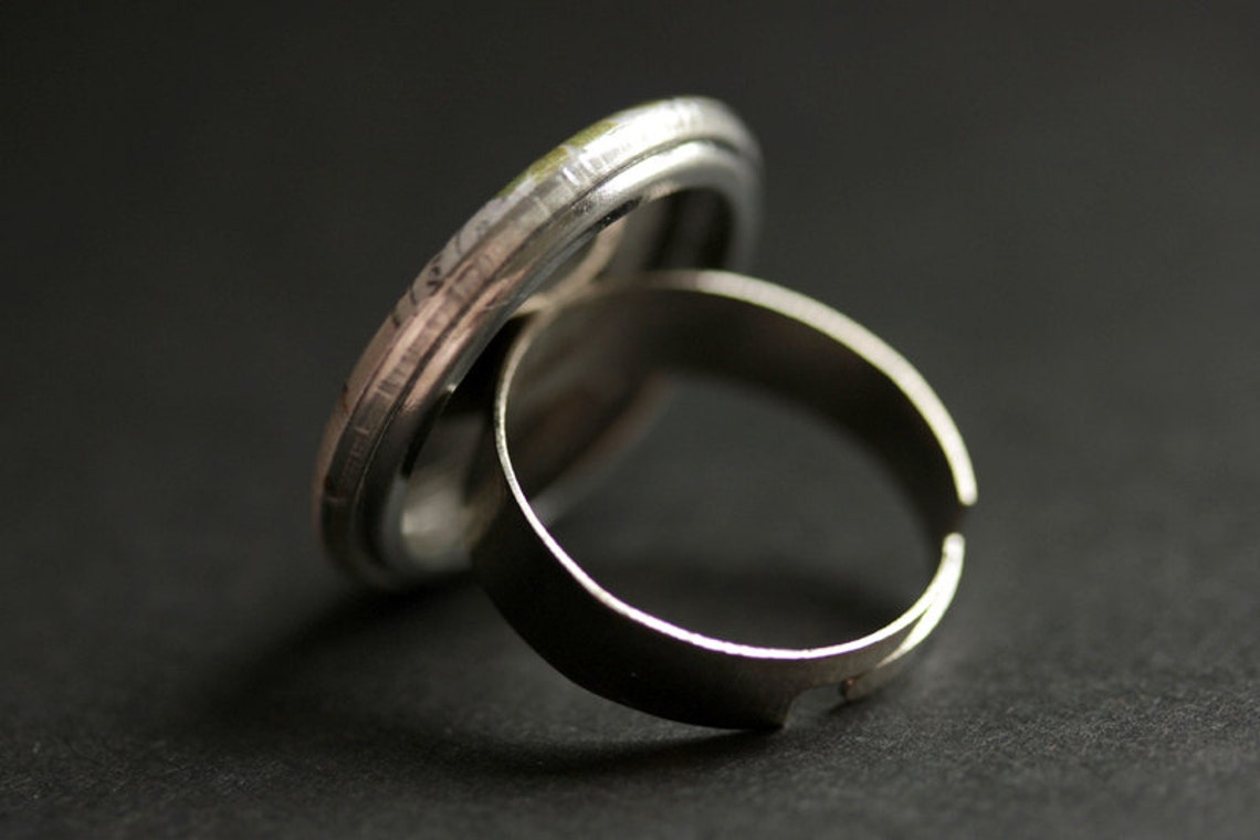 Beetle Ring. Bug Ring. Nature Ring. Insect Ring. Entomology - Etsy