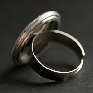 Beetle Ring. Bug Ring. Nature Ring. Insect Ring. Entomology Ring ...