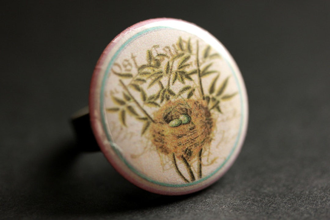 Robins Nest Ring. Bird Nest Ring. Graphic Button Ring. Nature Ring ...