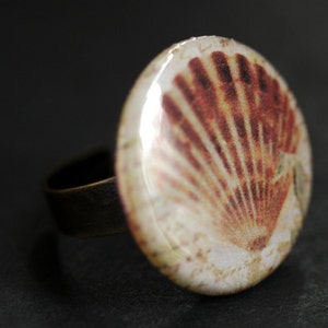 Seashell Ring. Beach Ring. Scallop Shell Ring. Graphic Button Ring. Sea ...