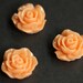 Orange Rose Refrigerator Magnets. Set of Three Rose Magnets. Orange ...