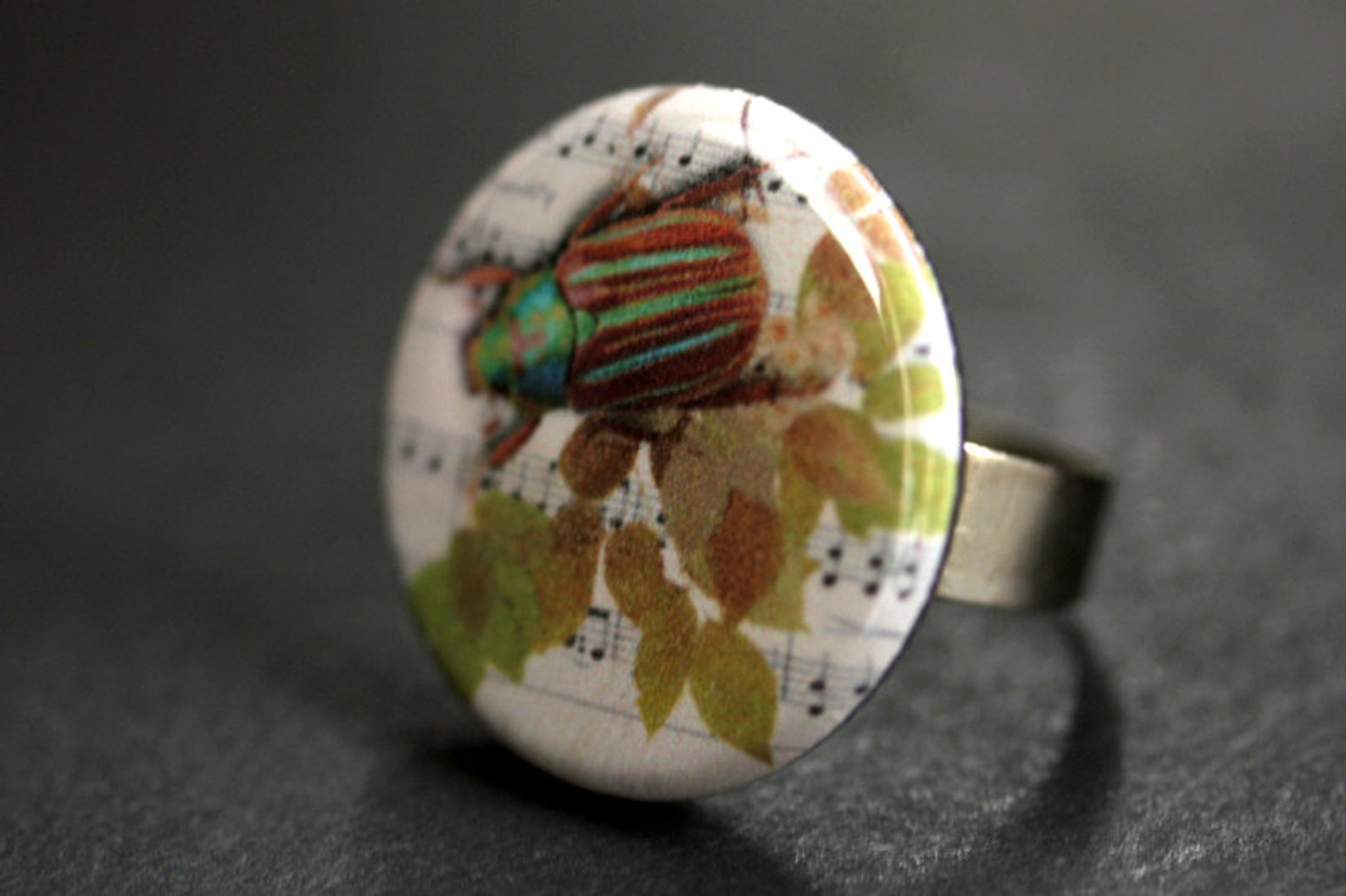 Turquoise Beetle Ring. Brown Beetle Ring. Bug Ring. Graphic Button Ring ...