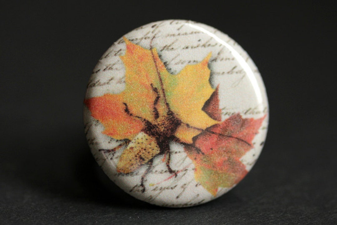 Tan Beetle Ring. Bug Ring. Nature Ring. Entomology Ring. Autumn Ring ...