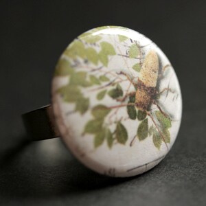 Beetle Ring. Bug Ring. Nature Ring. Insect Ring. Entomology Ring ...