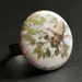 Beetle Ring. Bug Ring. Nature Ring. Insect Ring. Entomology Ring ...