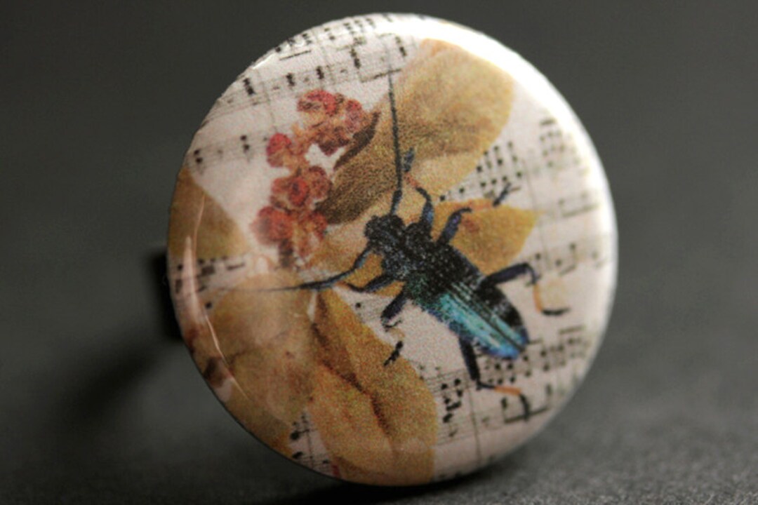 Blue Beetle Ring. Bug Ring. Nature Ring. Insect Ring. Entomology Ring ...