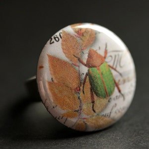 Green Beetle Ring. Bug Ring. Nature Ring. Insect Ring. Entomology Ring ...