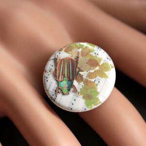 Turquoise Beetle Ring. Brown Beetle Ring. Bug Ring. Graphic Button Ring ...