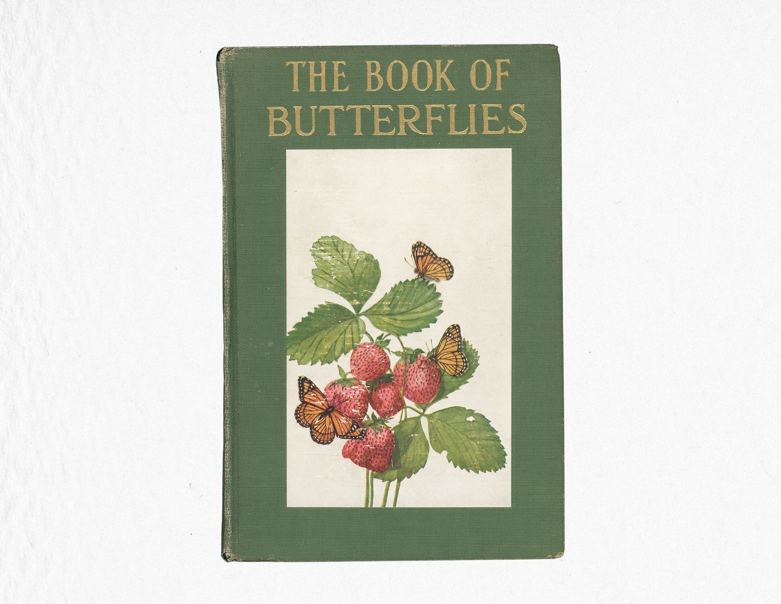 Little Nature Library Antique Book Collection - Etsy