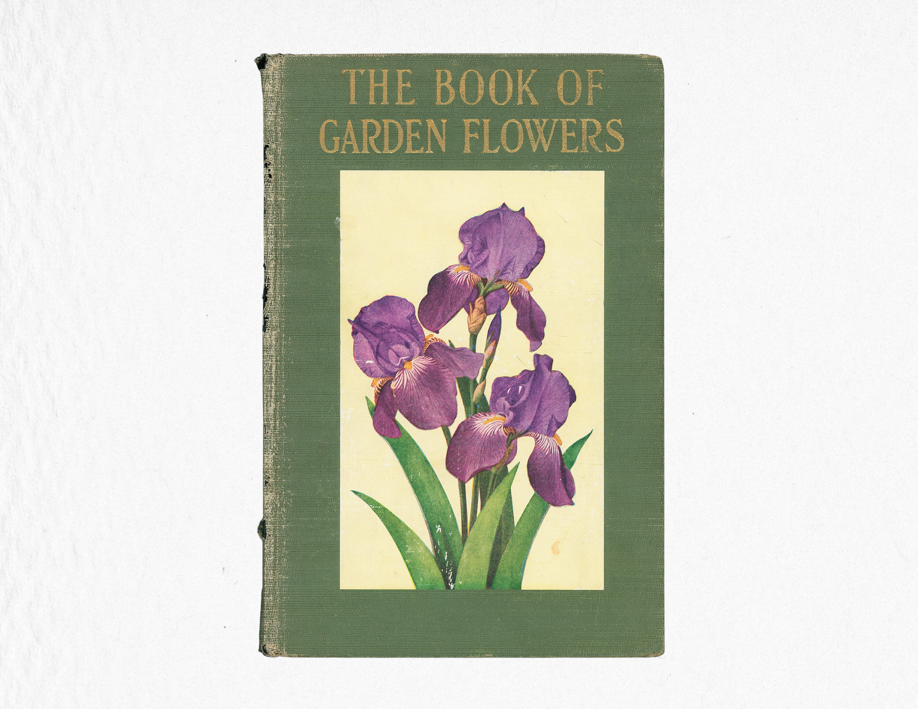 Little Nature Library Antique Book Collection - Etsy