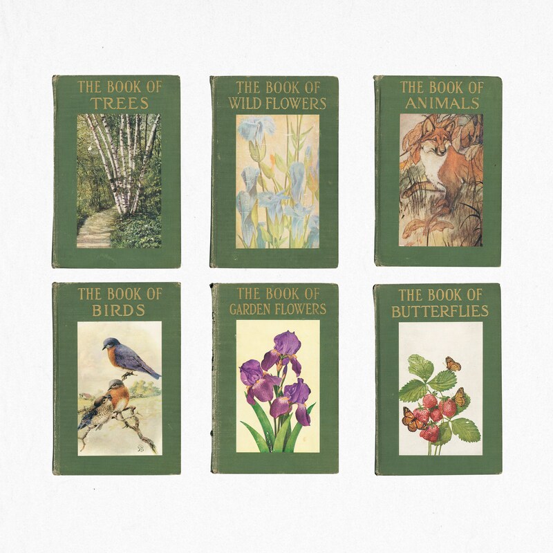 Antique Book Collection - Etsy