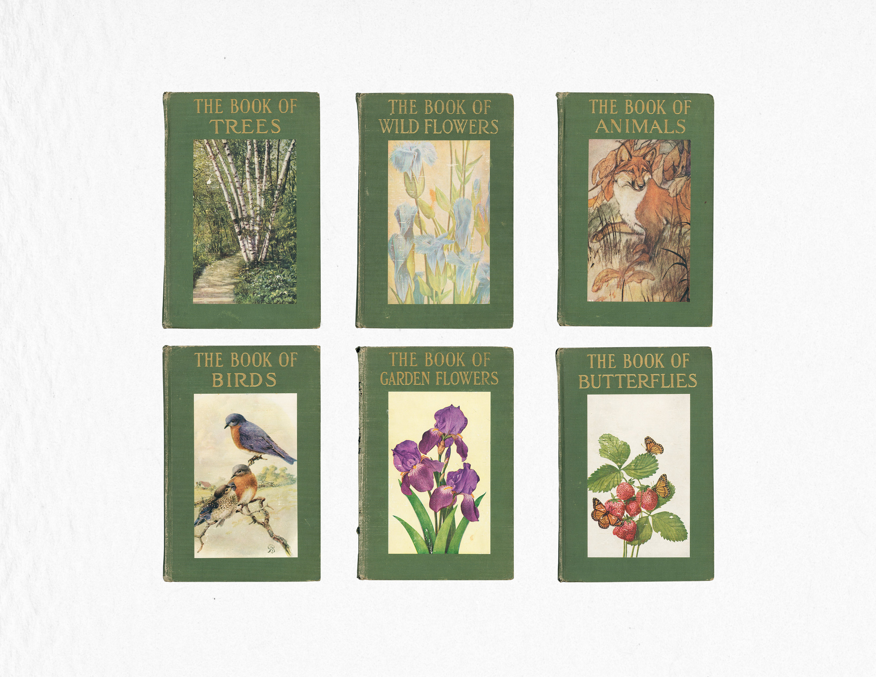 Little Nature Library Antique Book Collection - Etsy