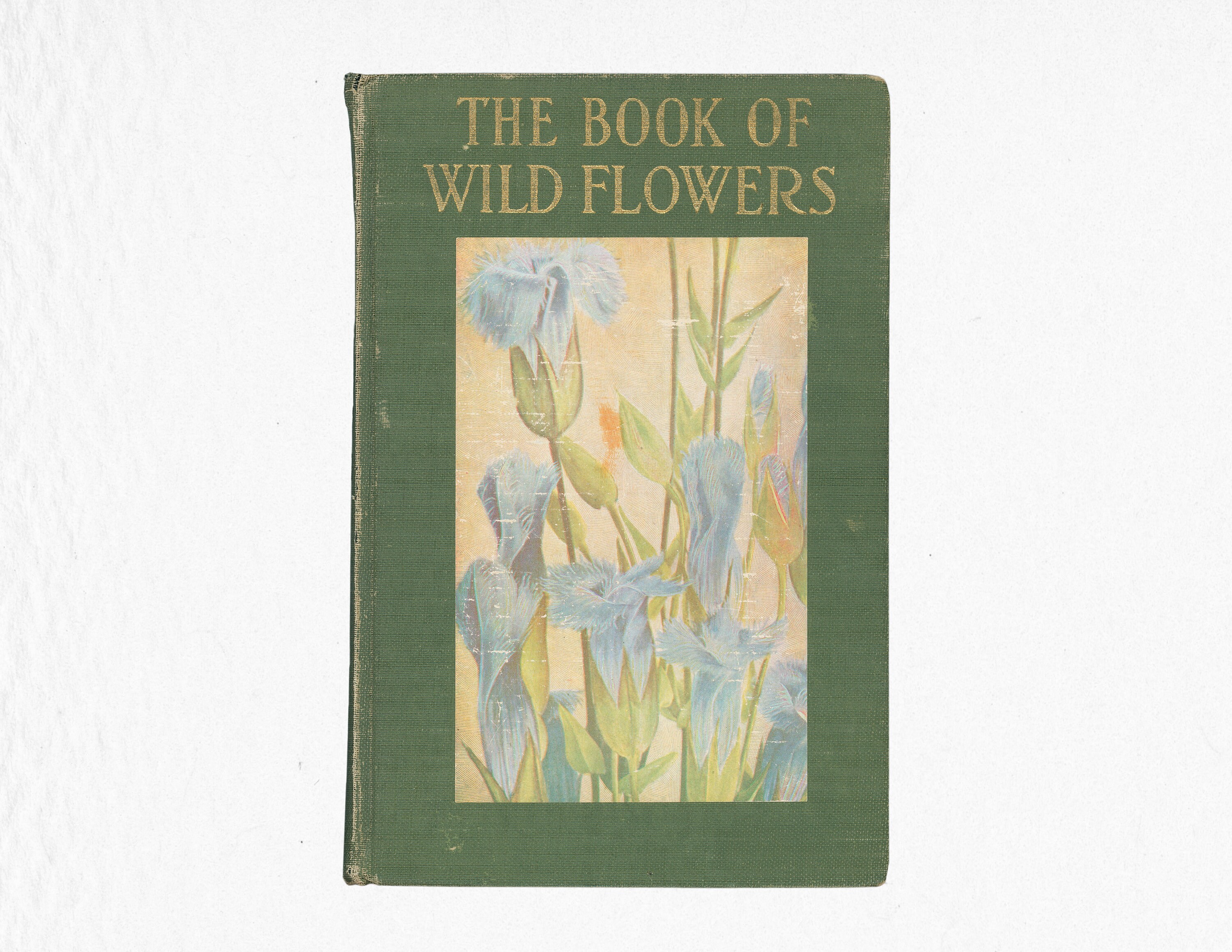 Little Nature Library Antique Book Collection - Etsy
