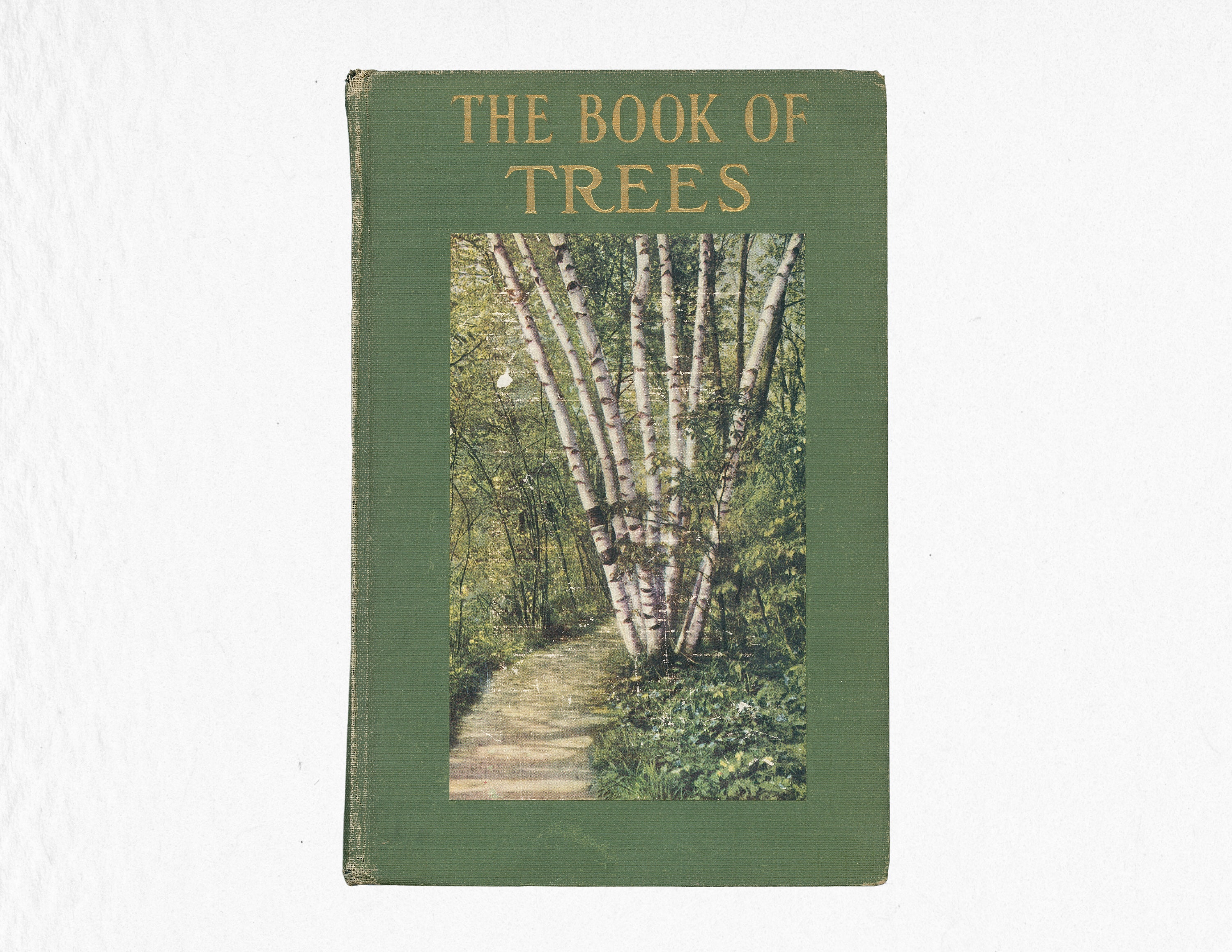 Little Nature Library Antique Book Collection - Etsy