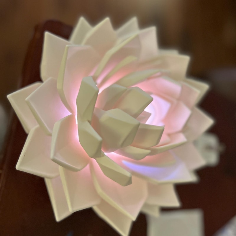 Lotus Lamp Led Lights - Etsy