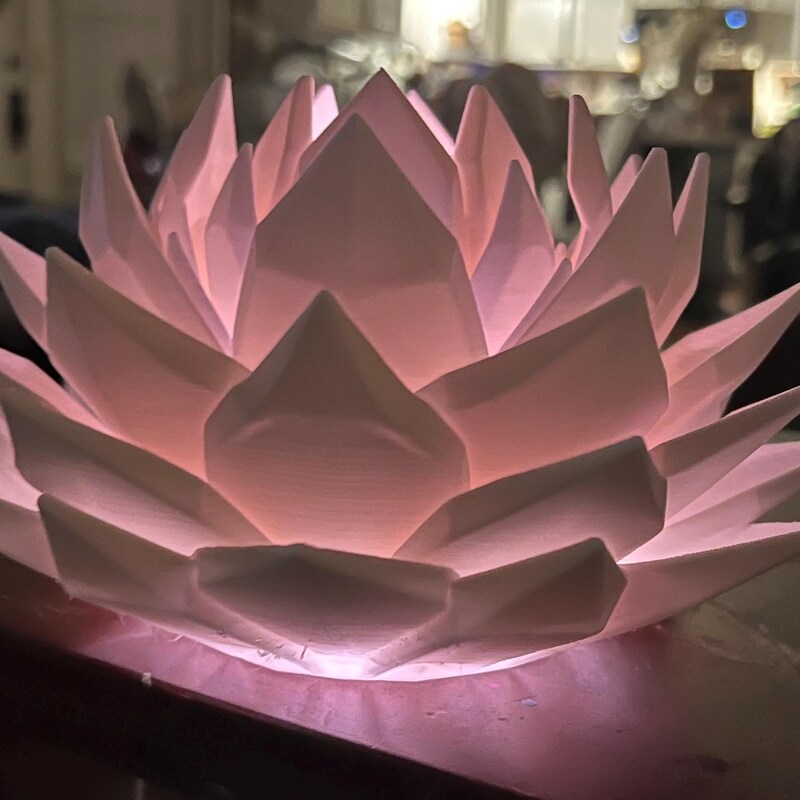 Lotus Lamp - Etsy