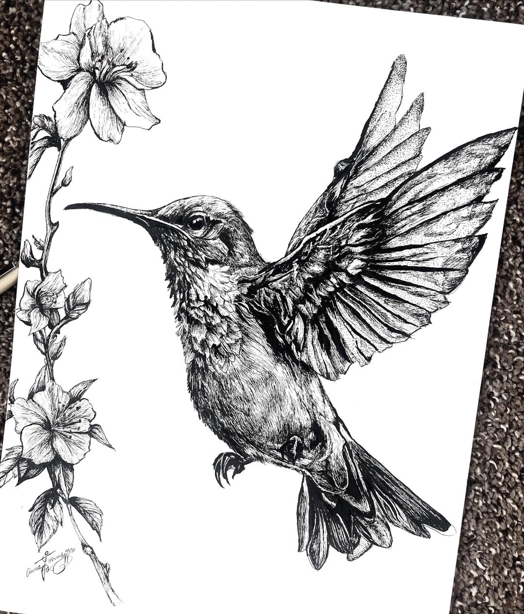 Hummingbird Pen and Ink Drawing Glicée Print, 11x15. “hover.” - Etsy