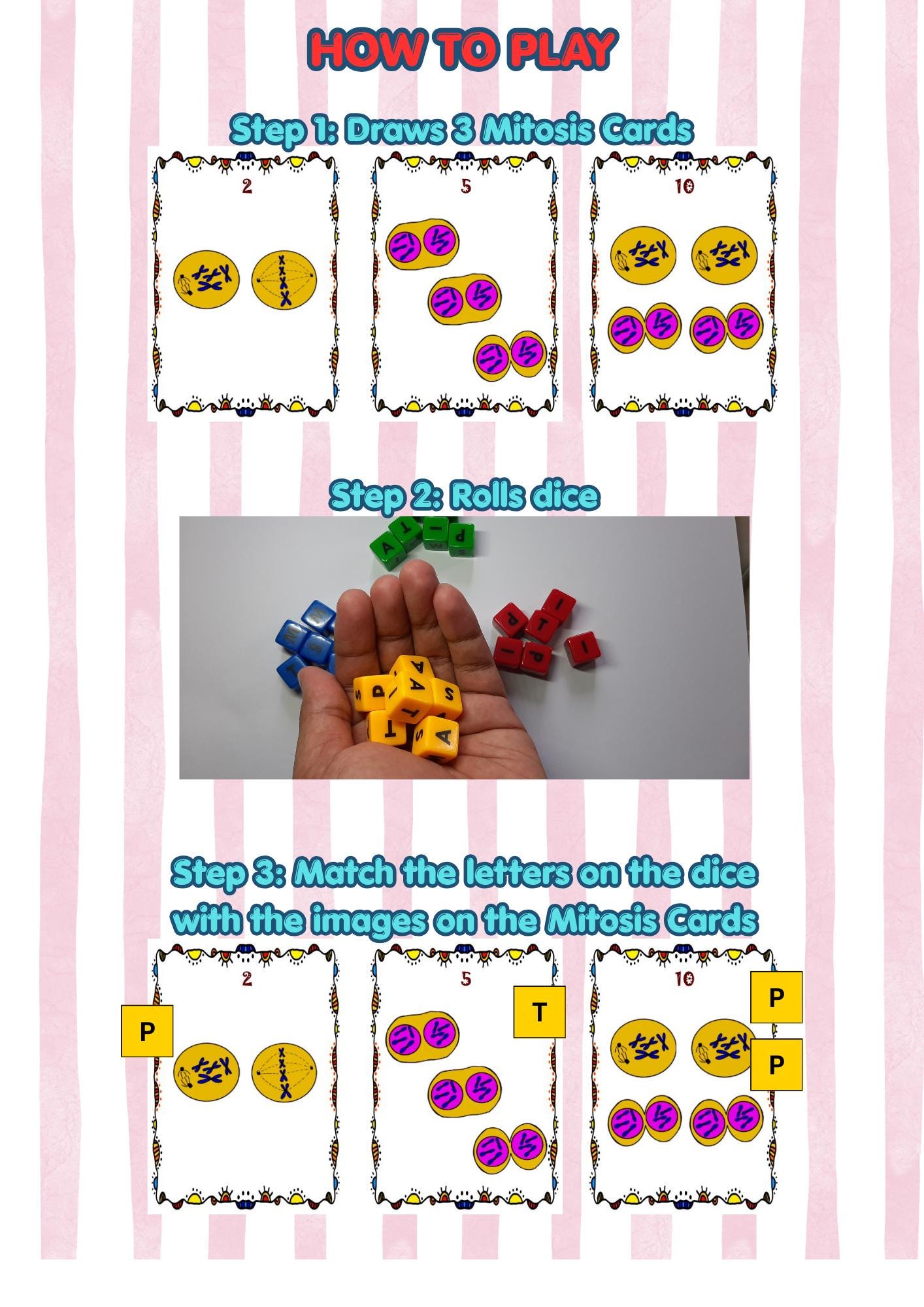 Mitosis Dice Game | Cell Division Biology, Science Station (print and ...