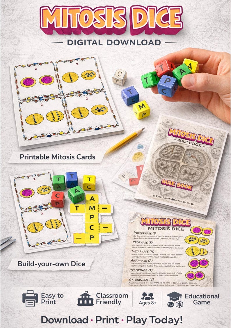 Mitosis Dice Game | Cell Division Biology, Science Station (print and ...