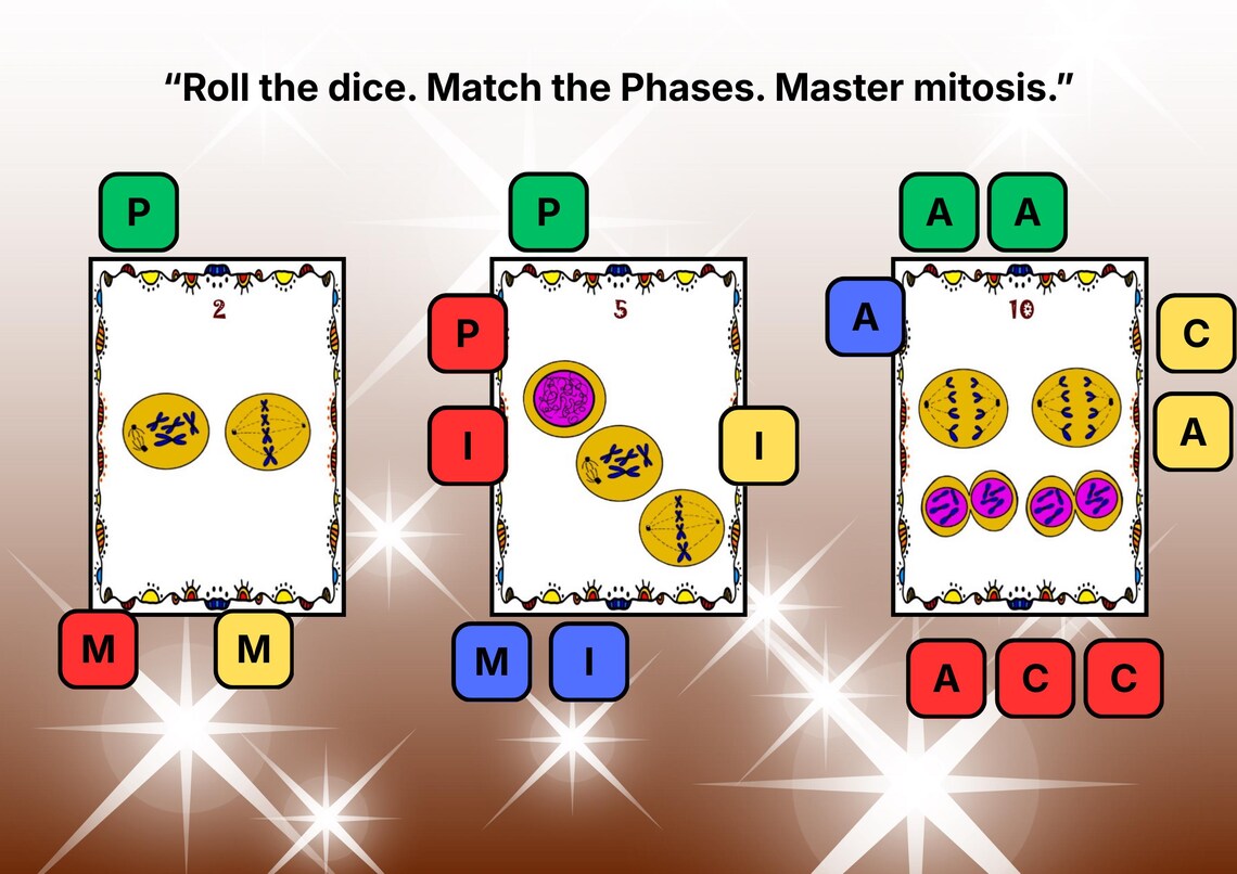 Mitosis Dice Game | Cell Division Biology, Science Station (print and ...
